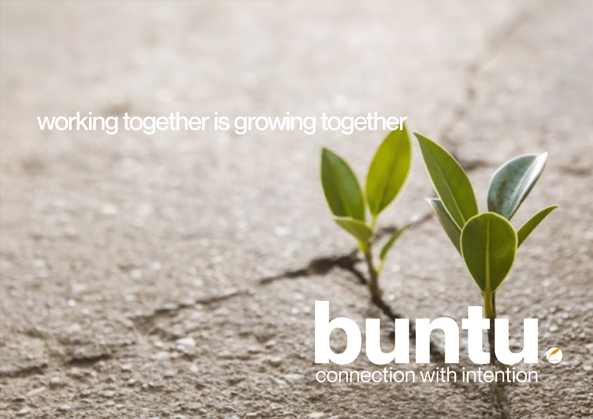 Develop YOU - buntu.